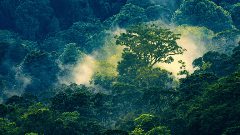 10 Exciting Things to Do in Perak, Malaysia