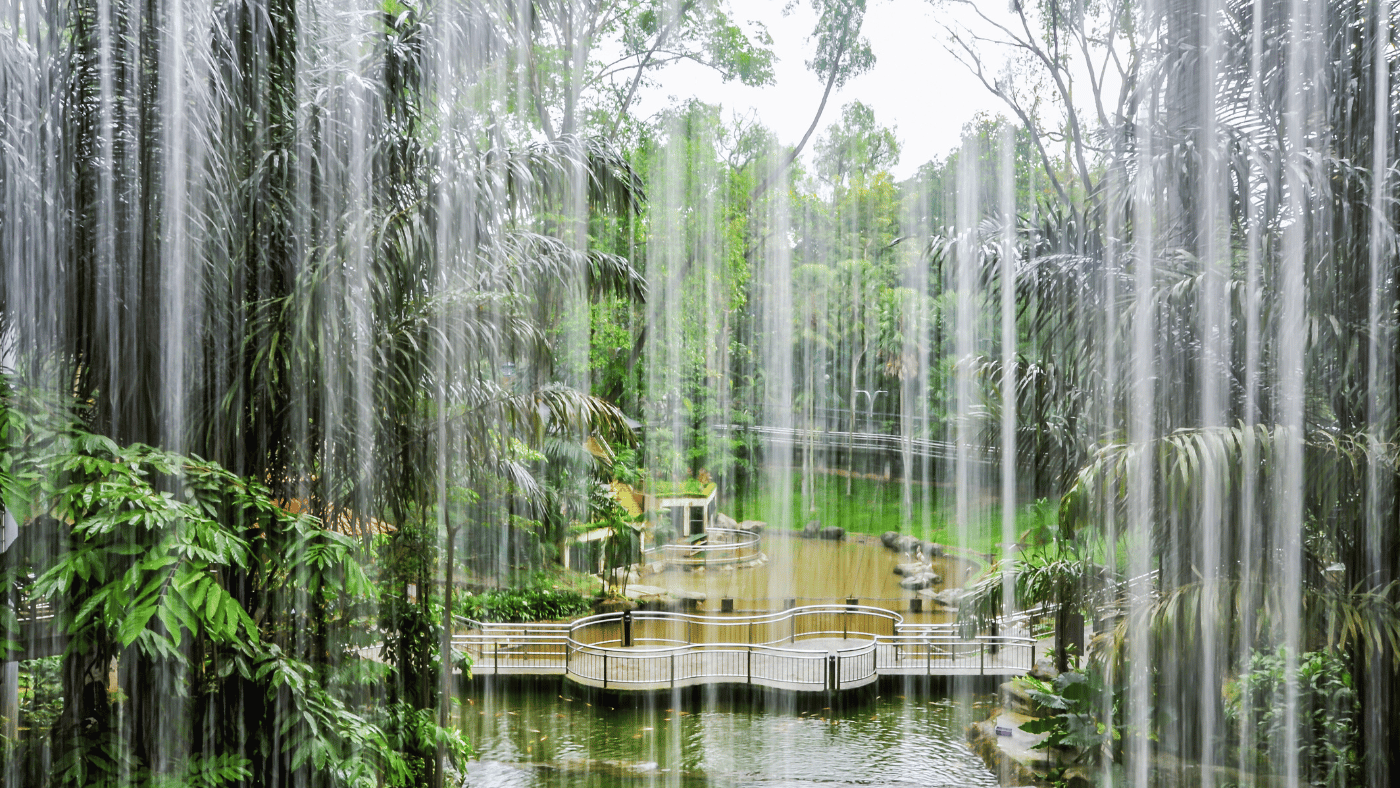 Kuala Lumpur Bird Park: Your Guide to This Malaysian Attraction