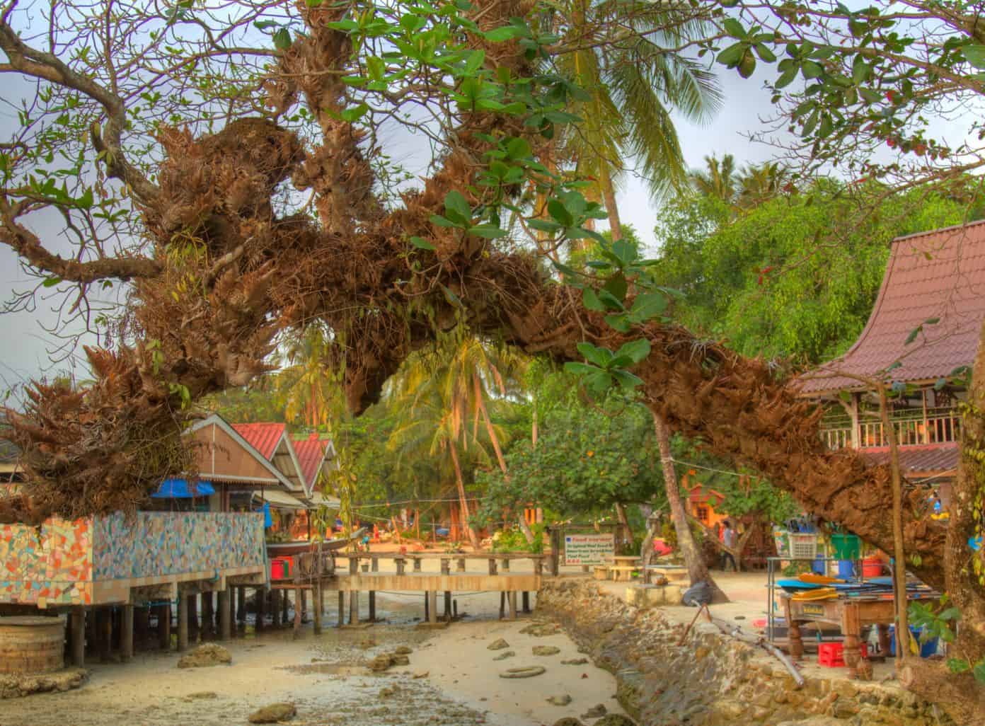 The Ultimate 3-Month Southeast Asia Itinerary - Malaysia GoTo