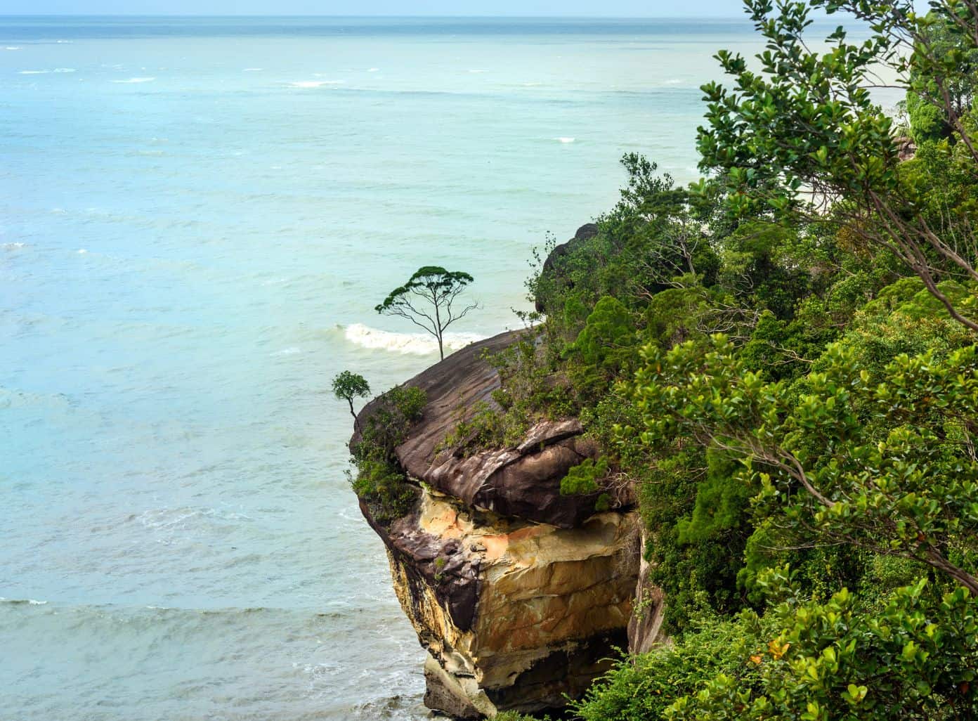 Enjoy a Day Trip to Bako National Park - Malaysia GoTo