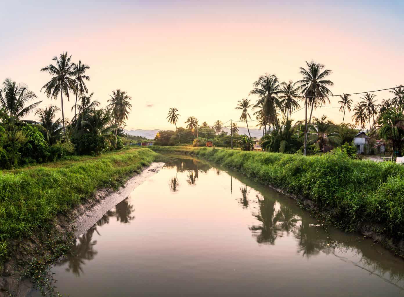 Exploring the Top Activities to Enjoy in Balik Pulau - Malaysia GoTo