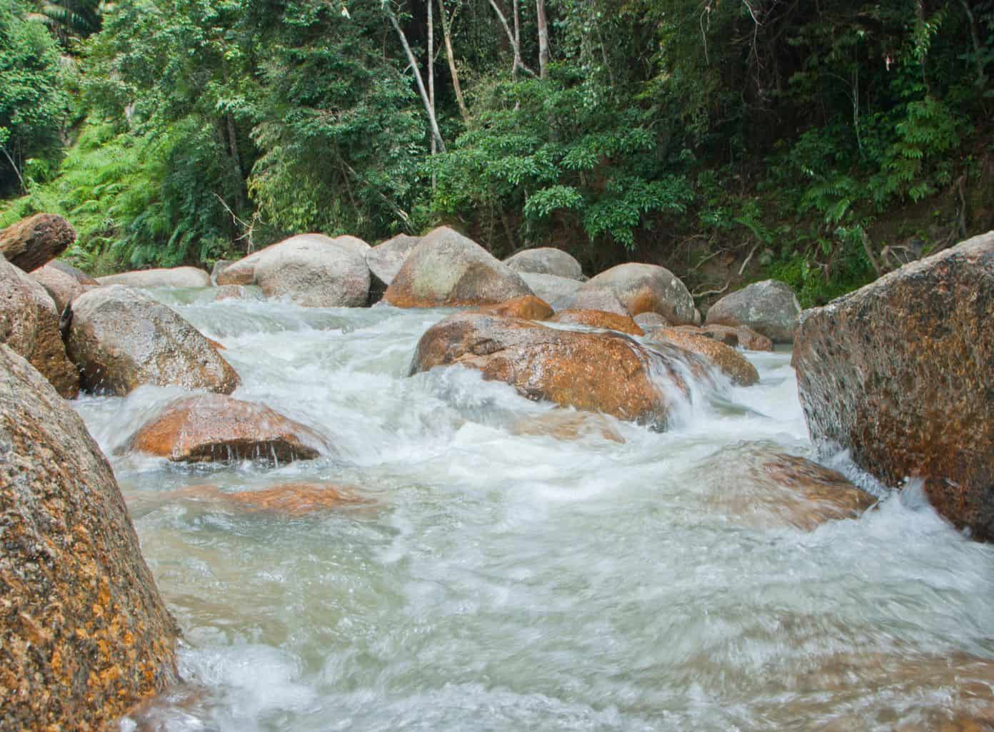 Enjoy a Fun-Filled Day Trip to Bentong - Malaysia GoTo