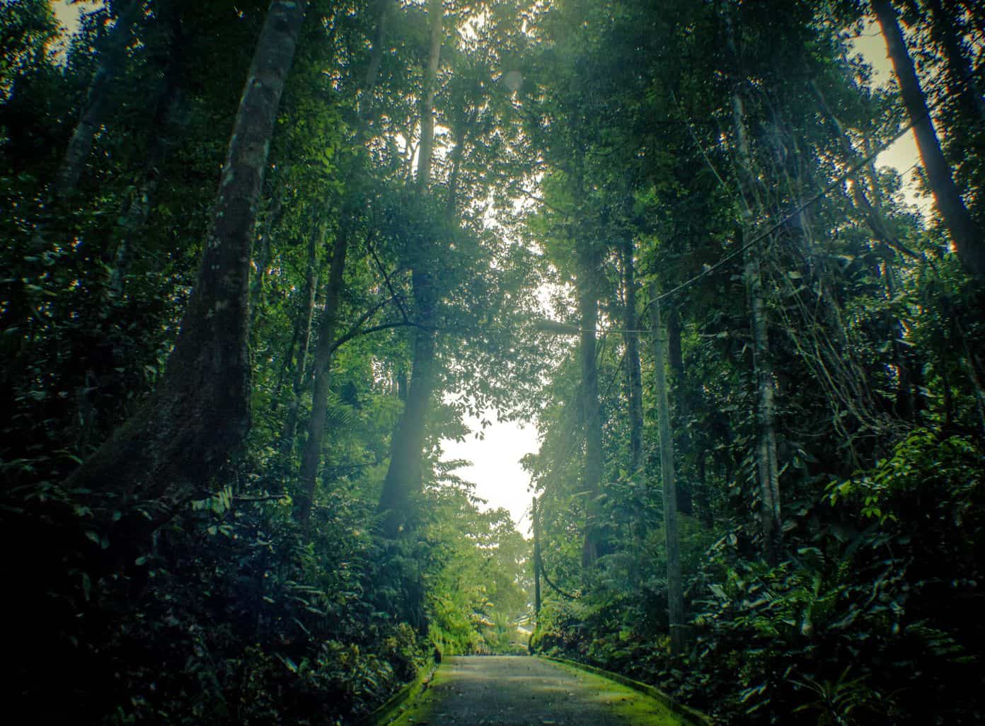 Exploring the Beauty of Sedim Campsite - Malaysia GoTo