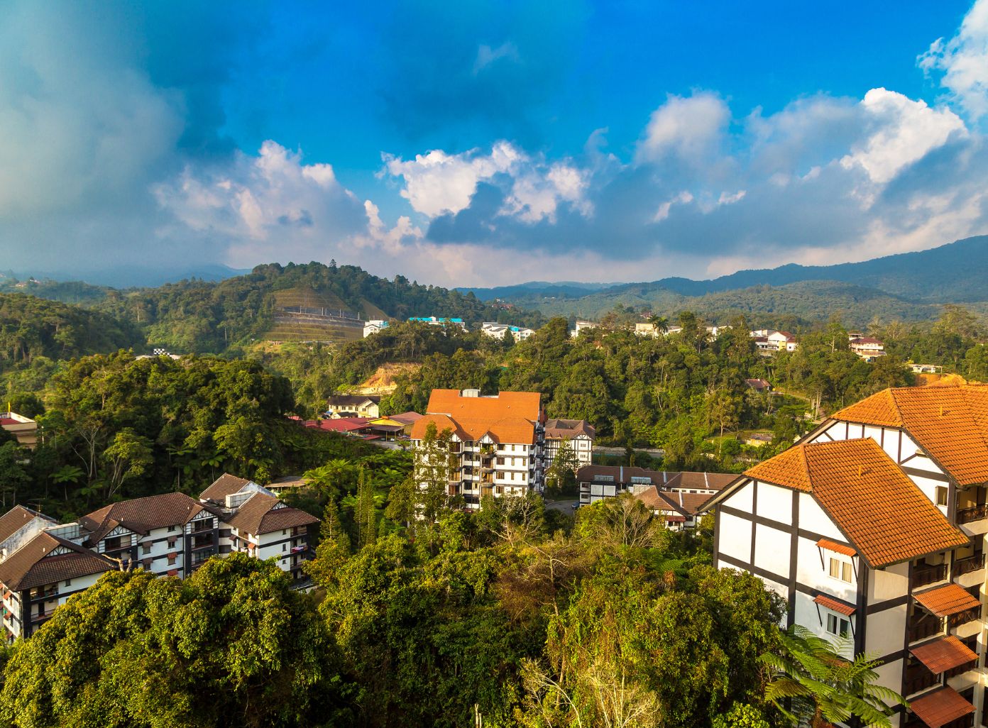 10 Must-Do Activities in Cameron Highlands - Malaysia GoTo