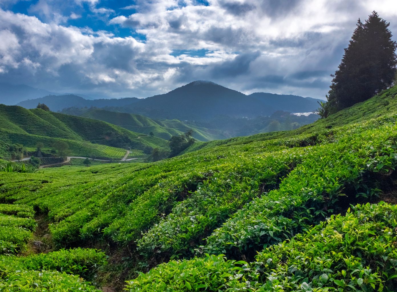 10 Must-See Attractions in Pahang - Malaysia GoTo